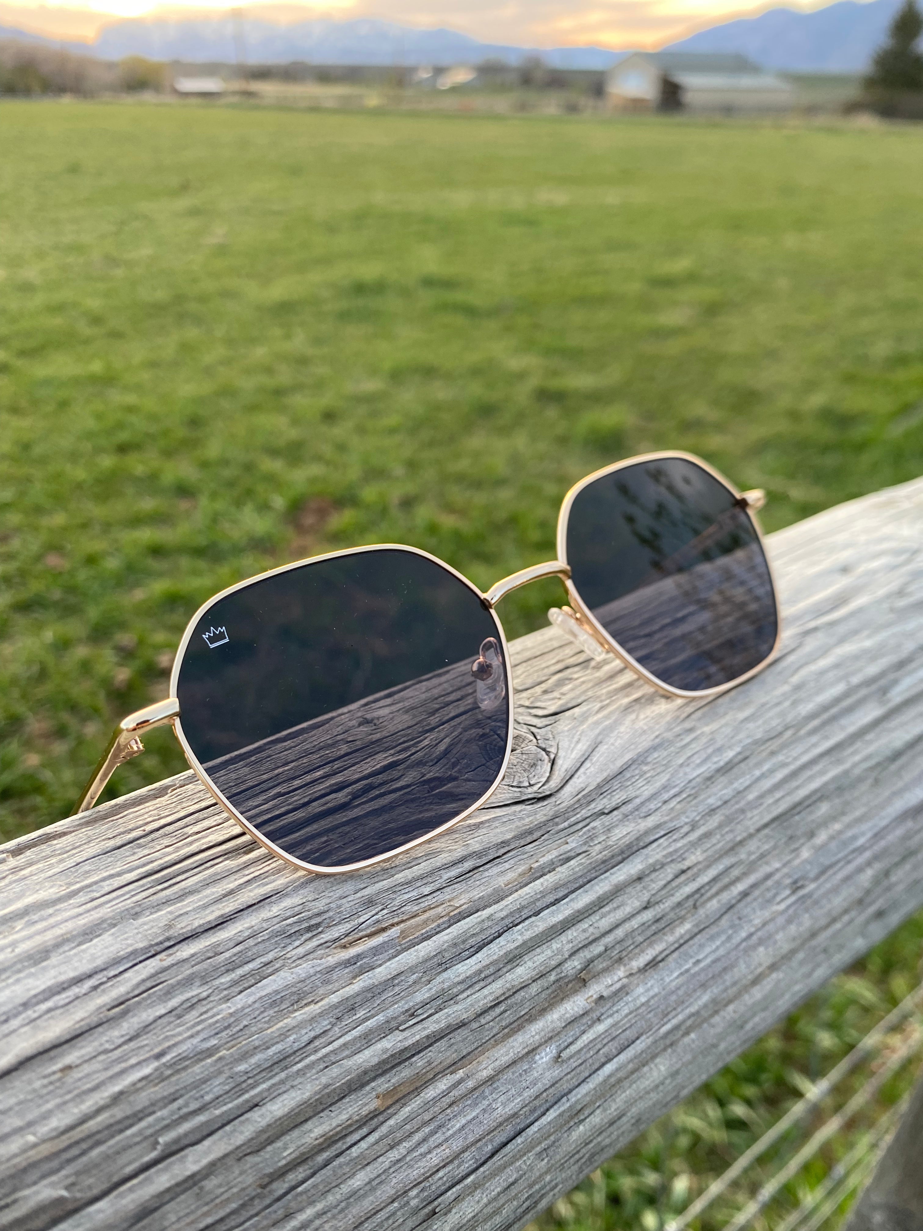 STAMPEDE – Elite Sunglasses